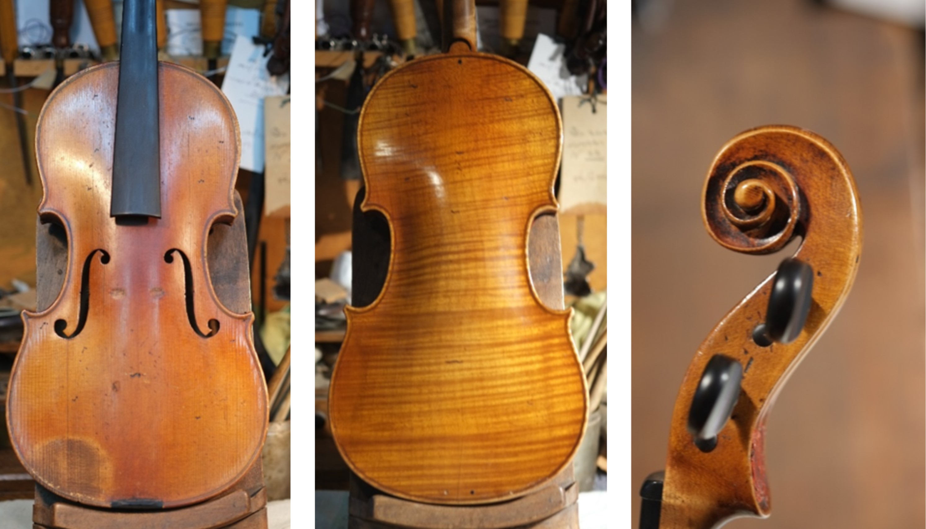 Violins of Hope on Display - Long Beach Symphony